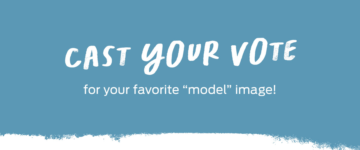 Vote For Your Favorite - The B-Word Blog